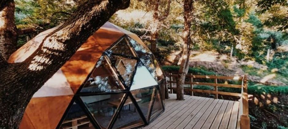 Boomhut overnachting: de leukste accommodaties!