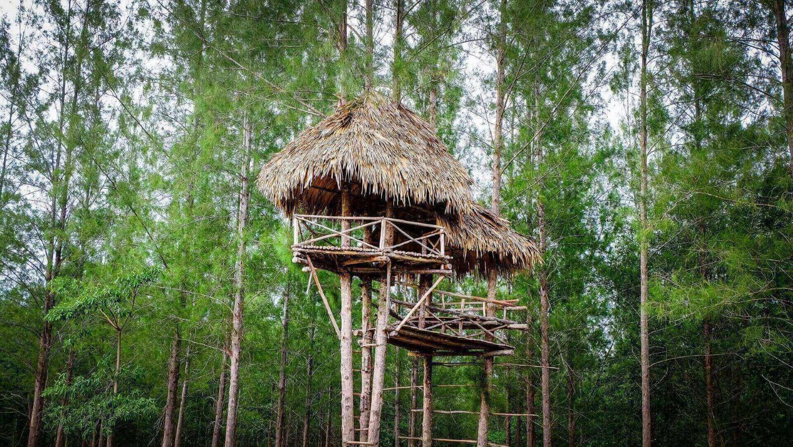 Boomhut overnachting: de leukste accommodaties!