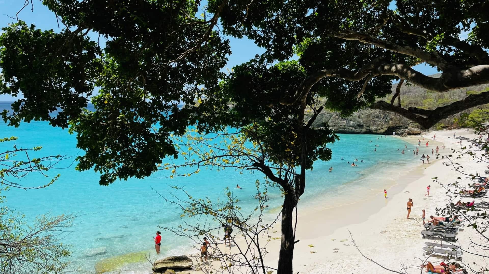 Top 10 mooiste stranden op Curaçao | Holidayguru.nl